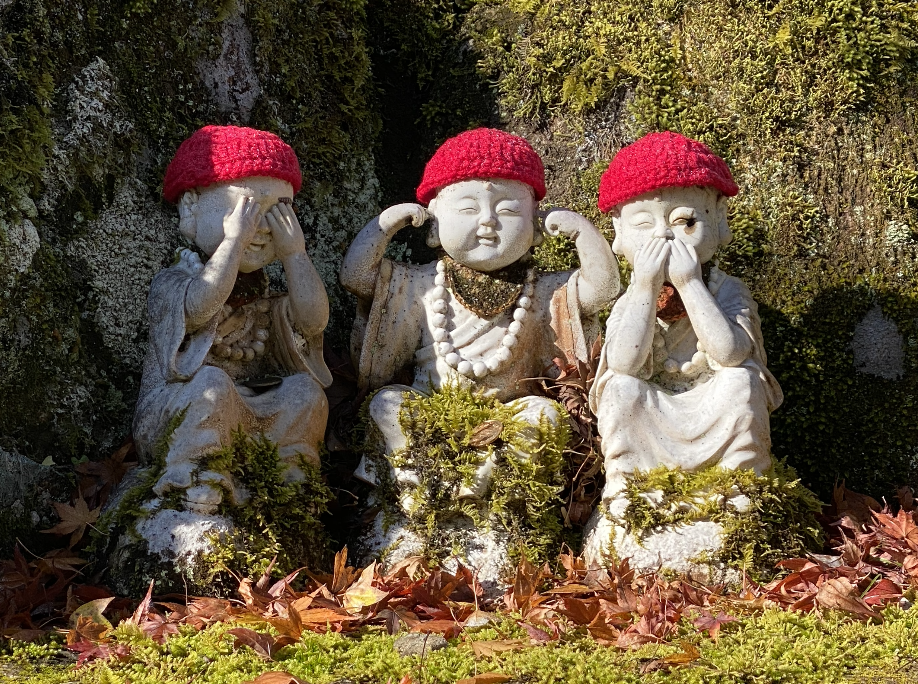 My Journey to a Calmer Mind – ALEX MEEKA WELLNESS